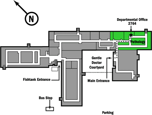 Map and Directions - Veterinary Pathology